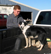 Stockdogs, cowdogs - Ida Parmer, Laura Stimatze, Carl Tate, Colt, Oklahoma