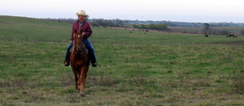 Stockdogs, cowdogs - Ida Parmer, Laura Stimatze, Carl Tate, Colt, Oklahoma