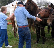 Stockdogs, cowdogs - Ida Parmer, Laura Stimatze, Carl Tate, Colt, Oklahoma