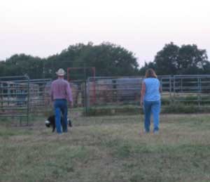 Laura Stimatze, Bernard and Kay Means and Family - Perfect Stocksog ...